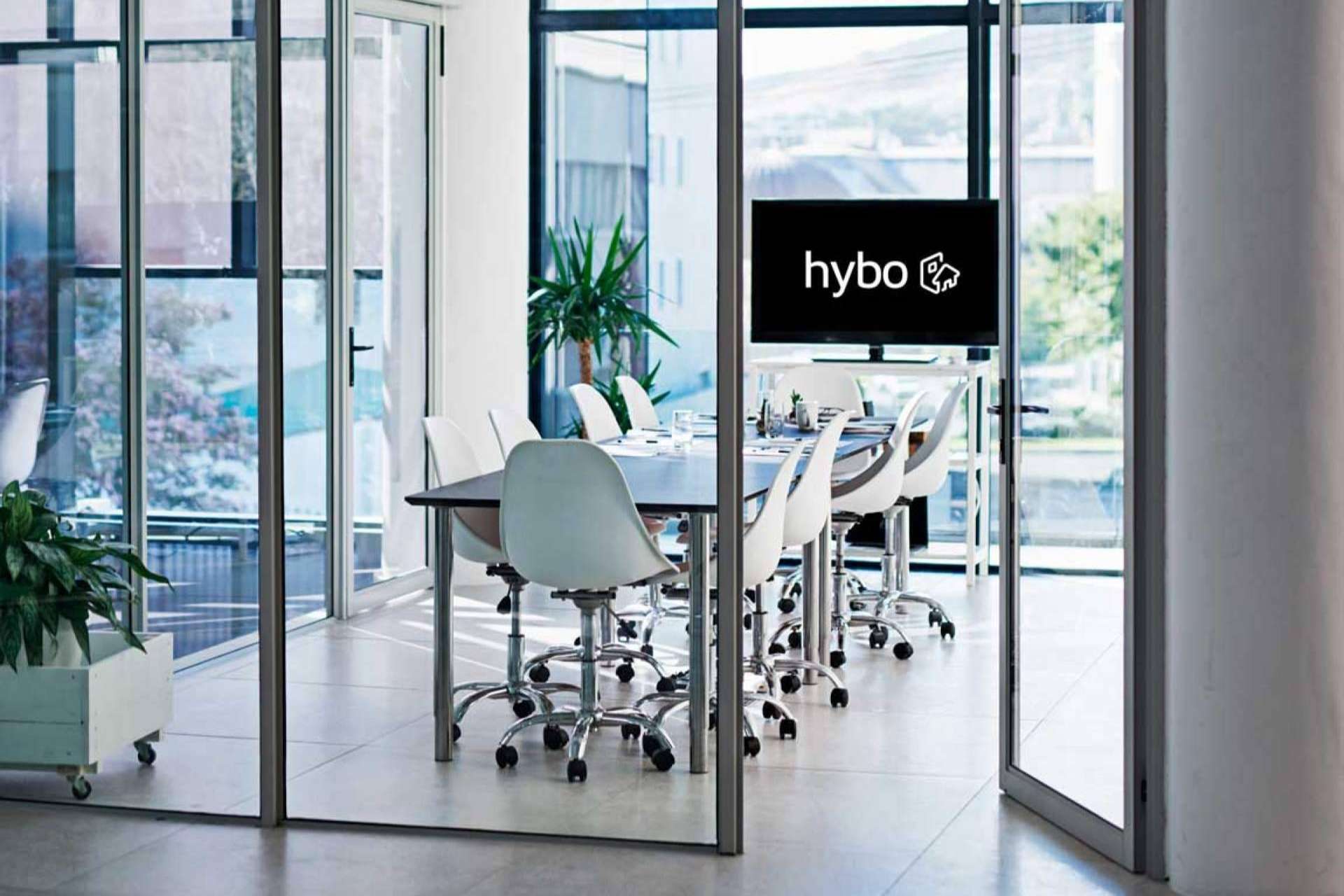 La startup española Hybo y su expansión internacional - Dicpas